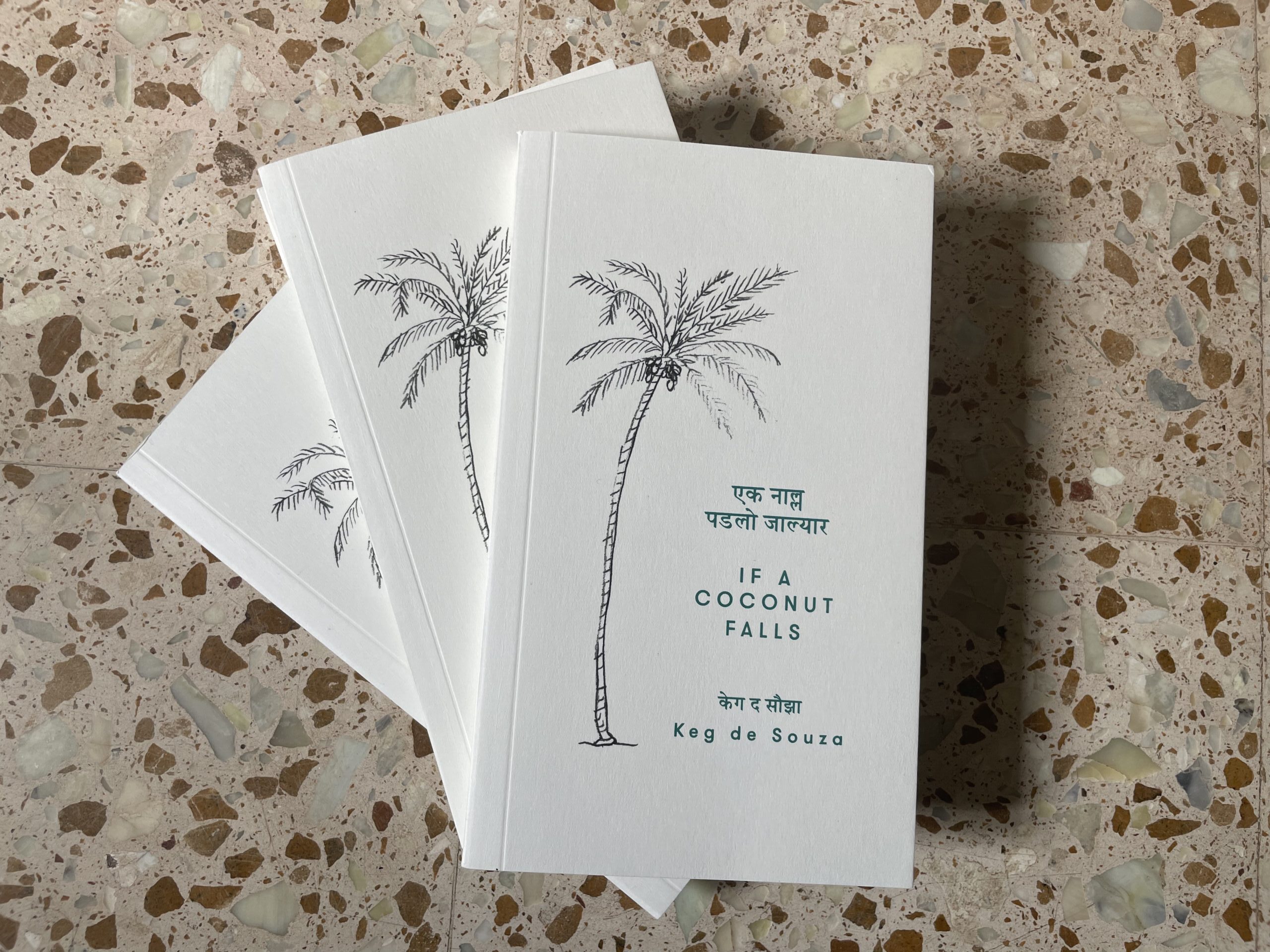 Keg de Souza | If a coconut falls book